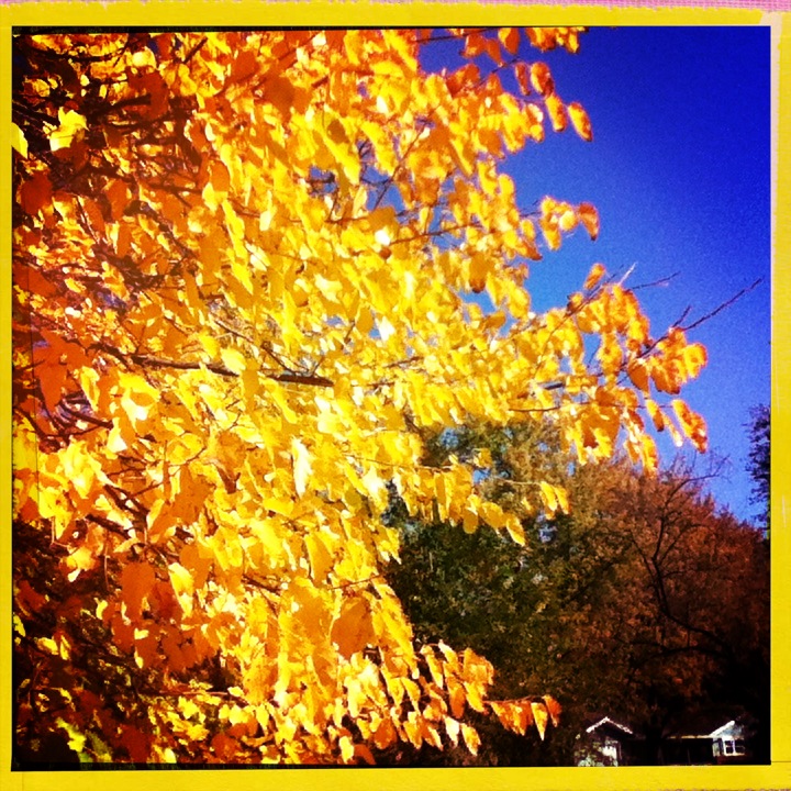 Photo gallery: Kansas in autumn, 2011 | News, Sports, Jobs - Lawrence ...